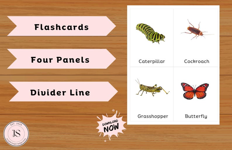 Insects Flashcards, Insects Montessori Cards, Flashcards, Nomenclature ...