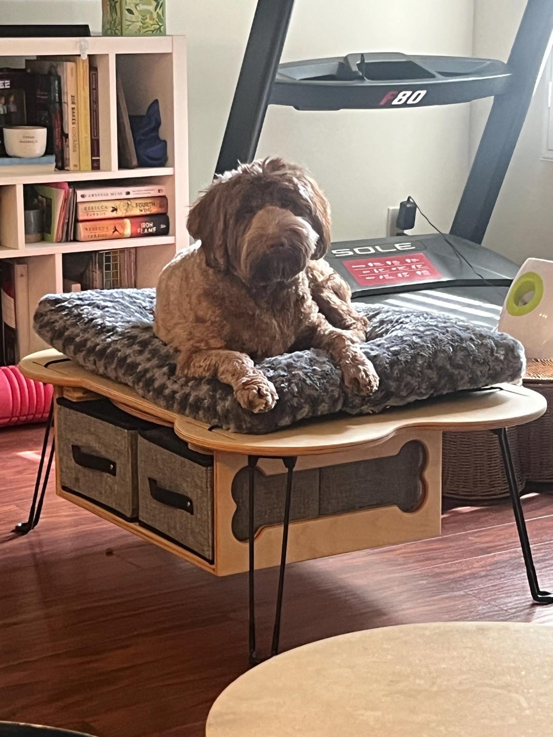 Modular Raised Dog Bed Platform – Elevated Pet Bed Base, Wood Frame ...