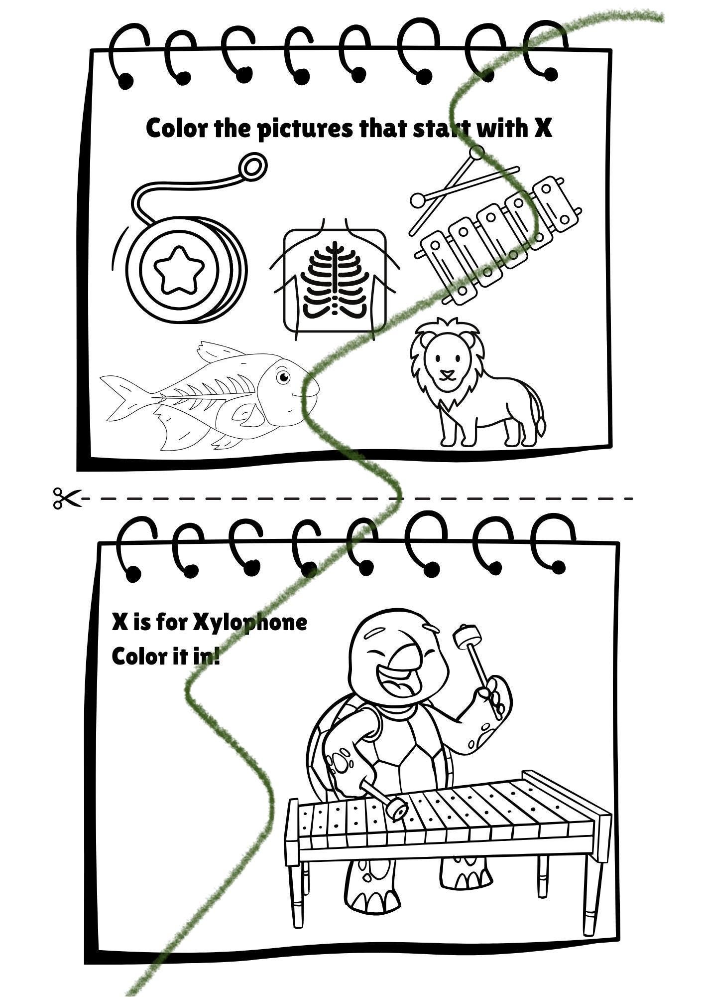 Letter X Book - Etsy