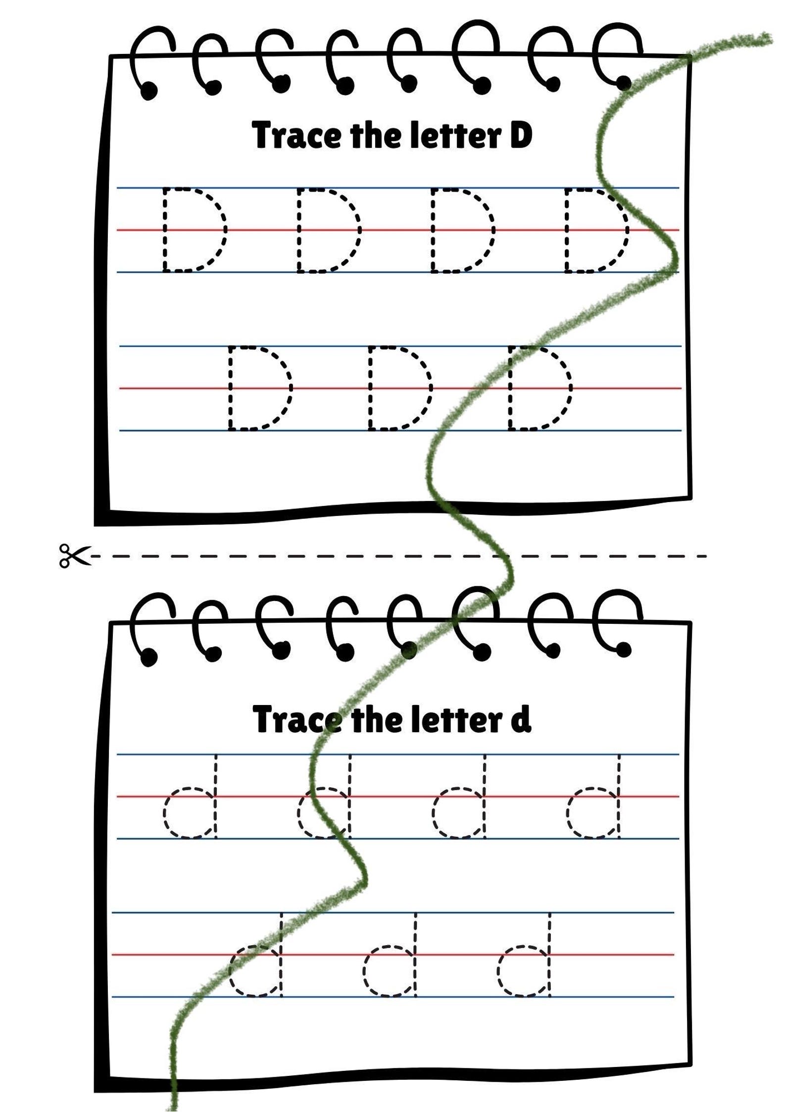 Letter D Book - Etsy