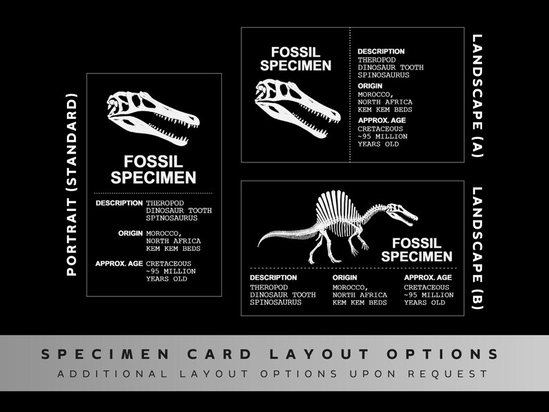 Custom Engraved Specimen ID Card – Personalized Fossil, Meteorite, or ...