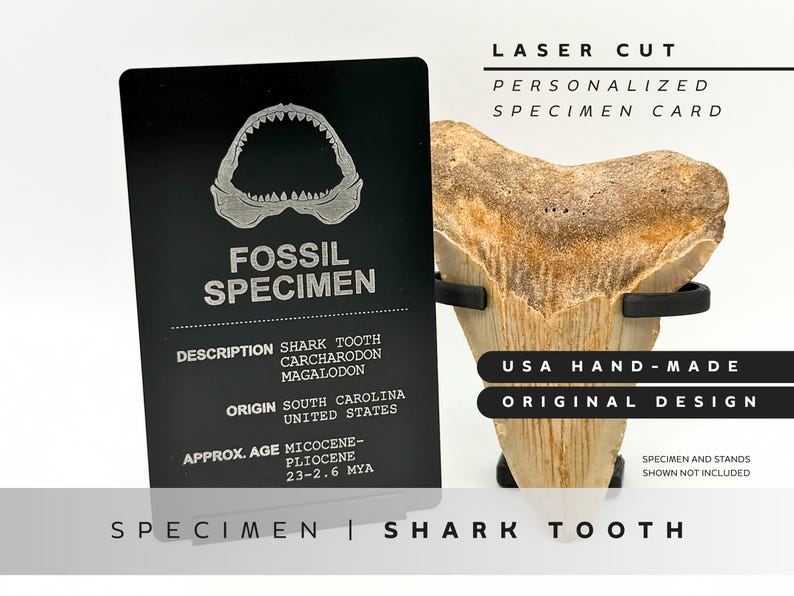 Custom Engraved Specimen ID Card – Personalized Fossil, Meteorite, or ...