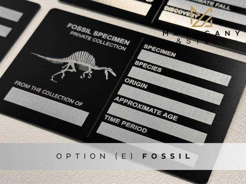 Fossil Specimen Display Identification Card - Engraved Metal Card - Etsy