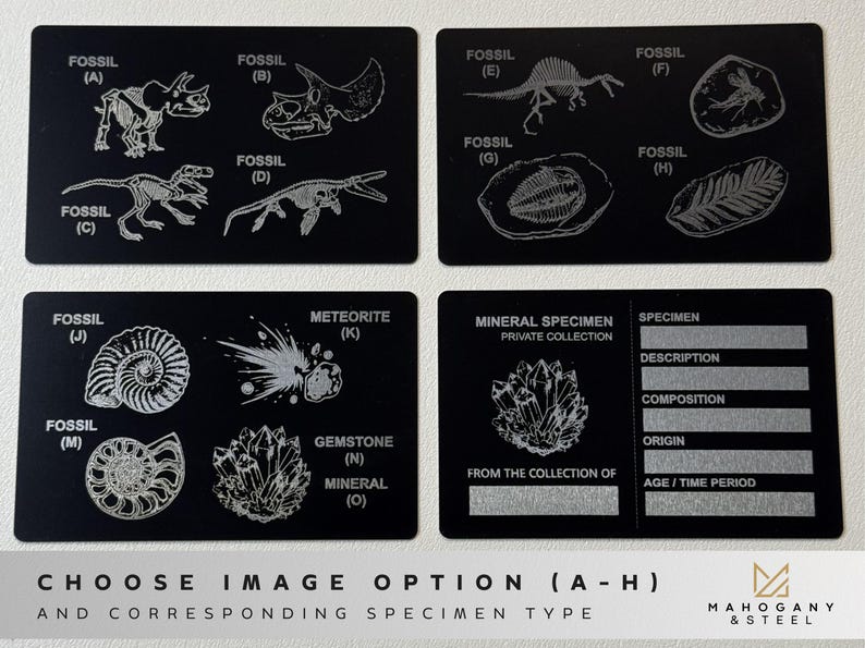 Fossil Specimen Display Identification Card - Engraved Metal Card - Etsy