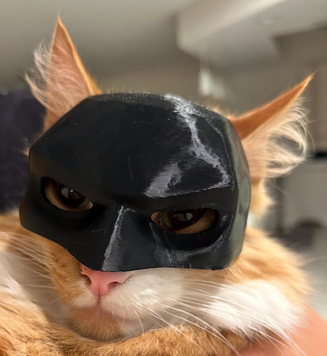 Batcat Mask 3D Printed Cute - Etsy
