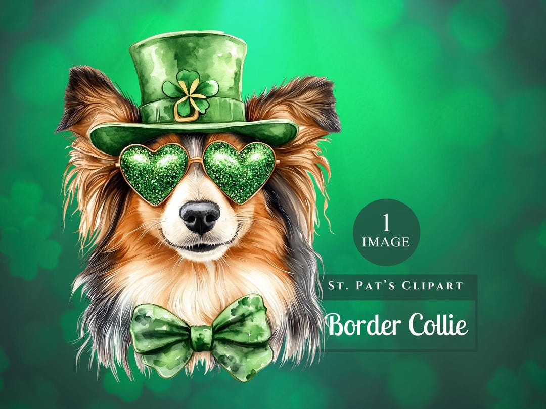 St. Patrick's Day Border Collie Clipart: Lucky Dog PNG (digital ...
