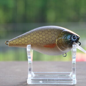 Golden Shiner Pattern Square Bill Crankbait - Etsy