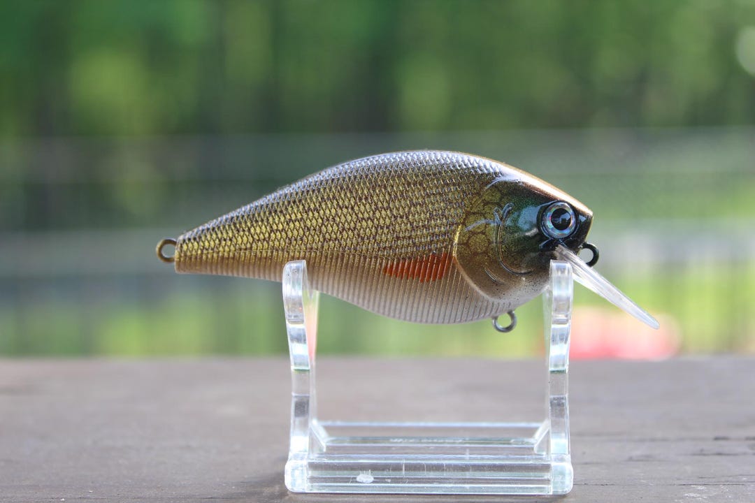 Golden Shiner Pattern Square Bill Crankbait - Etsy