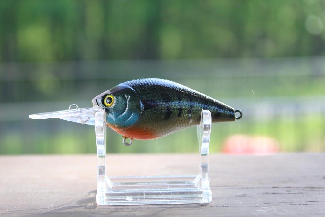 Bluegill Pattern Medium Diving Crankbait - Etsy