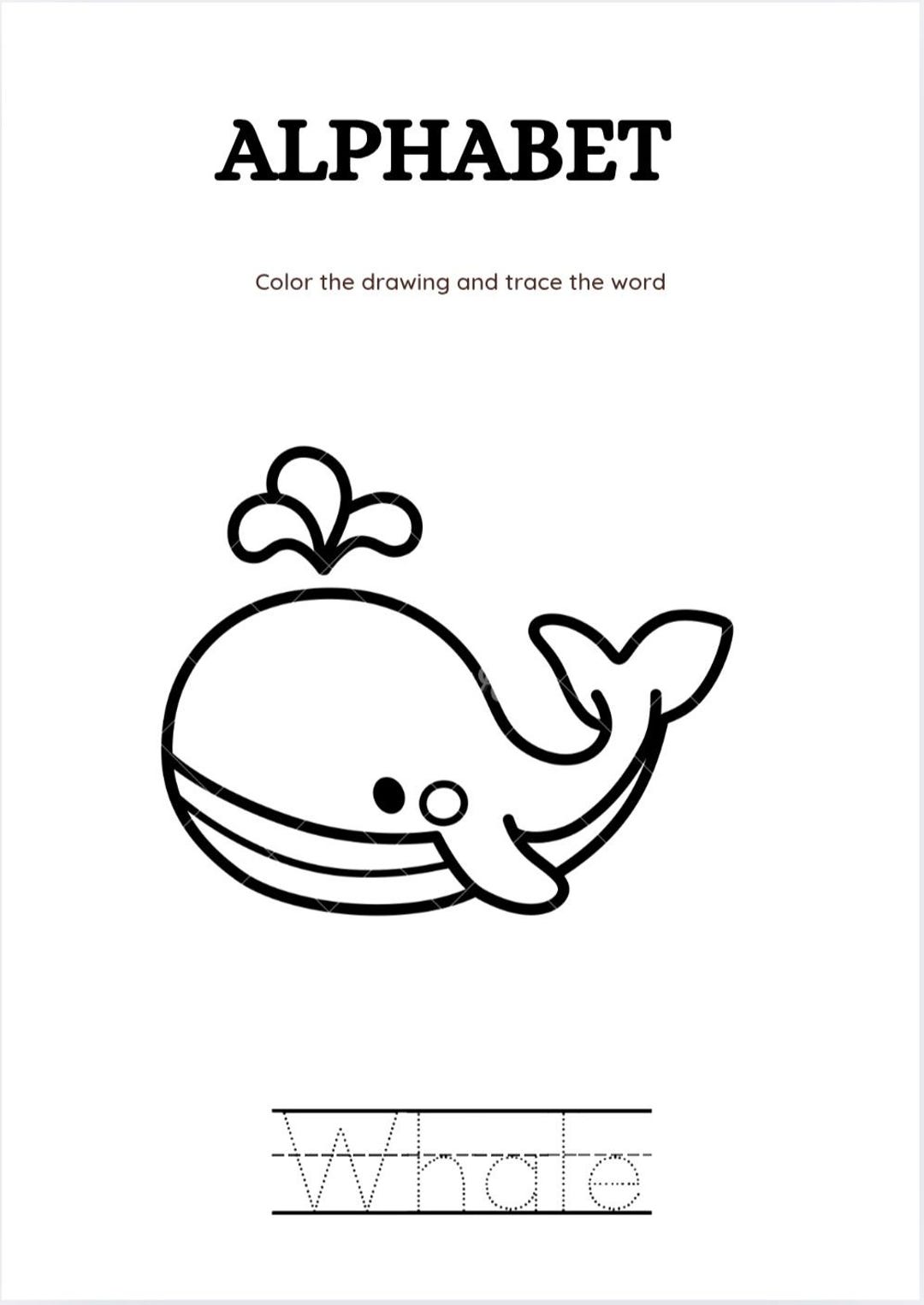 Alphabet Color and Trace - Etsy