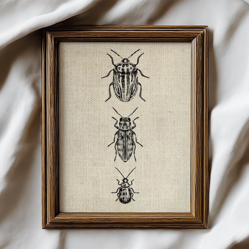 Vintage Bug Print - Etsy