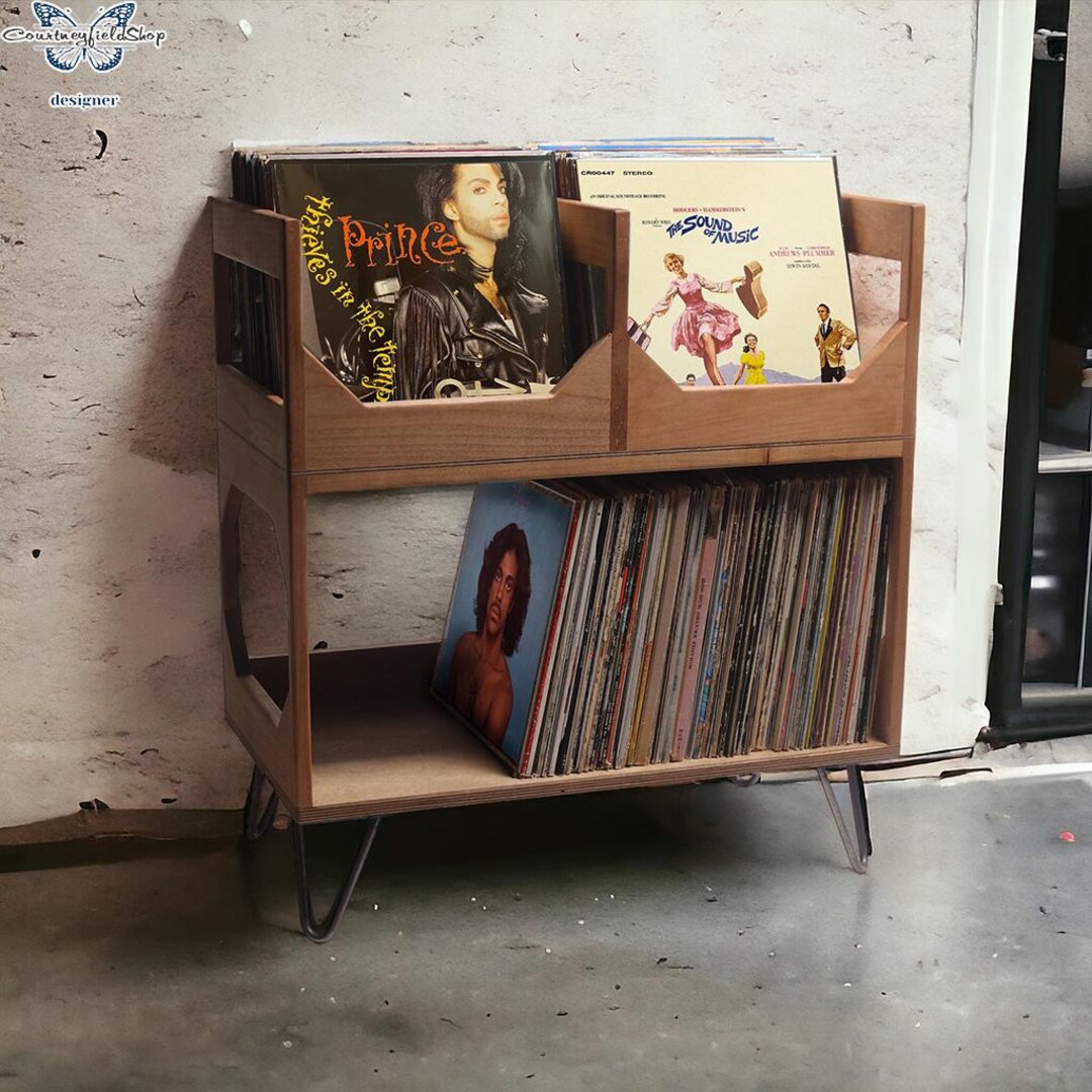 The Deluxe Record Storage for Vinyl: Boost Your Area - Etsy