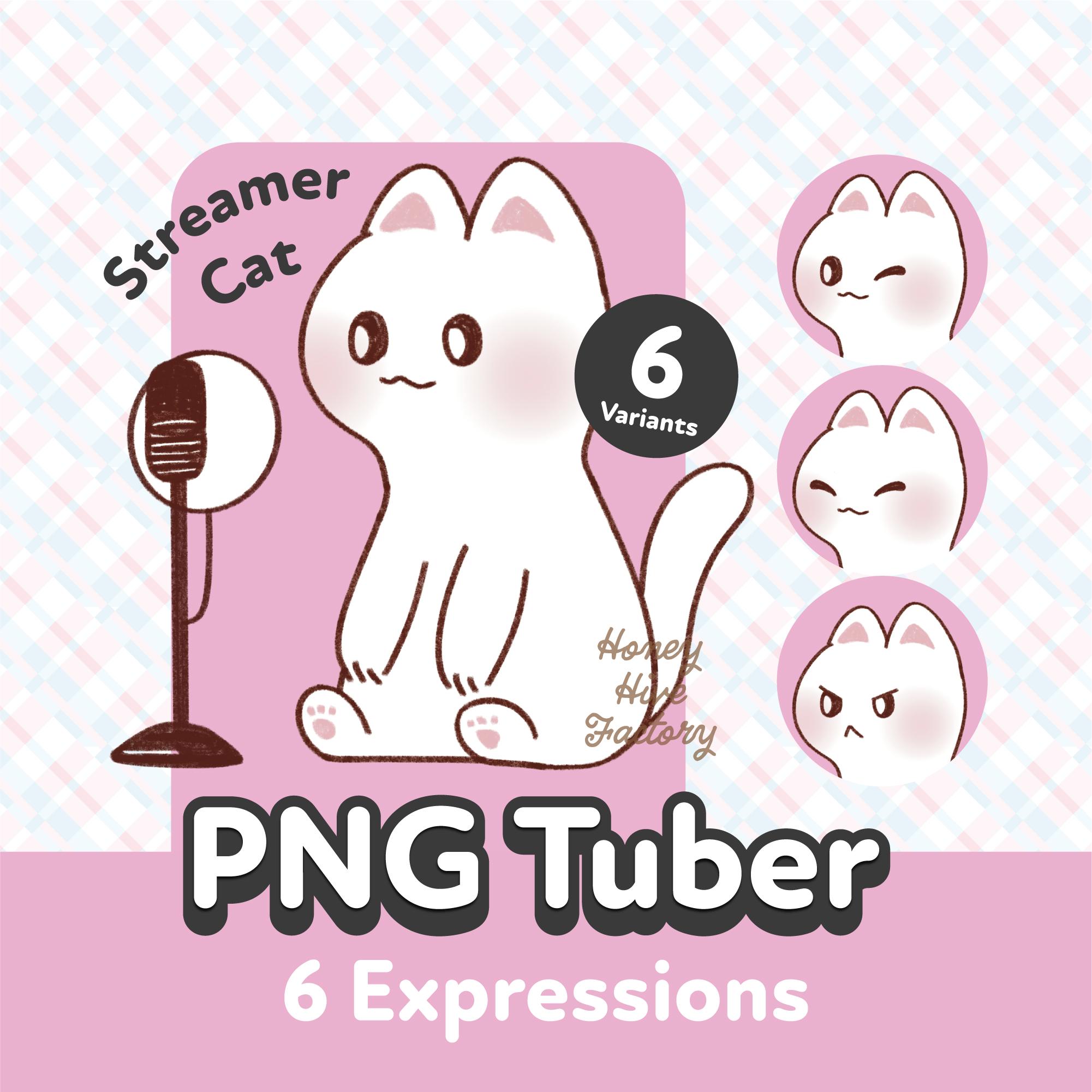 Cute Pngtuber Model, Cat Pngtuber Premade Model, Veadotube Model, Pngtuber Cat, Pngtuber, Vtuber ...