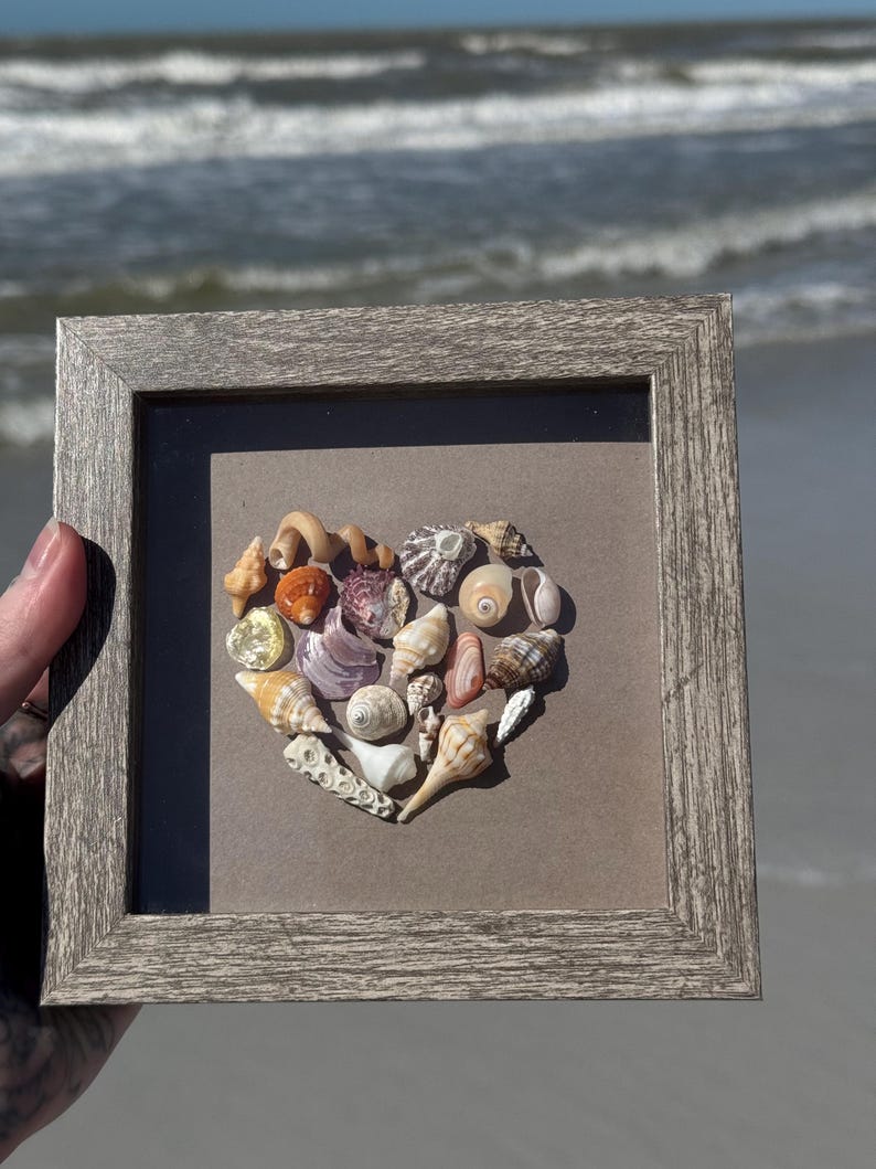 Mini Shells in a Heart Shape in Shadowbox - Etsy
