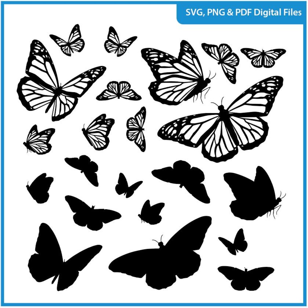 Butterfly SVG, Bundle SVG Files, Butterfly SVG Layered, Butterfly Files ...