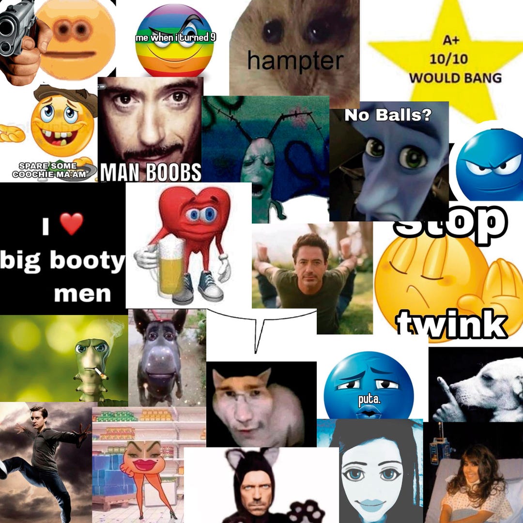 Shitpost Memes Stickers // Random Funny Stickers // Vinyl Stickers ...