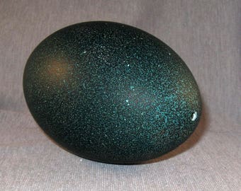 Emu egg | Etsy