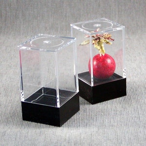 Acrylic Showcase Box for Display, 2 3/16" Tall X 1 3/16" Wide on Four ...