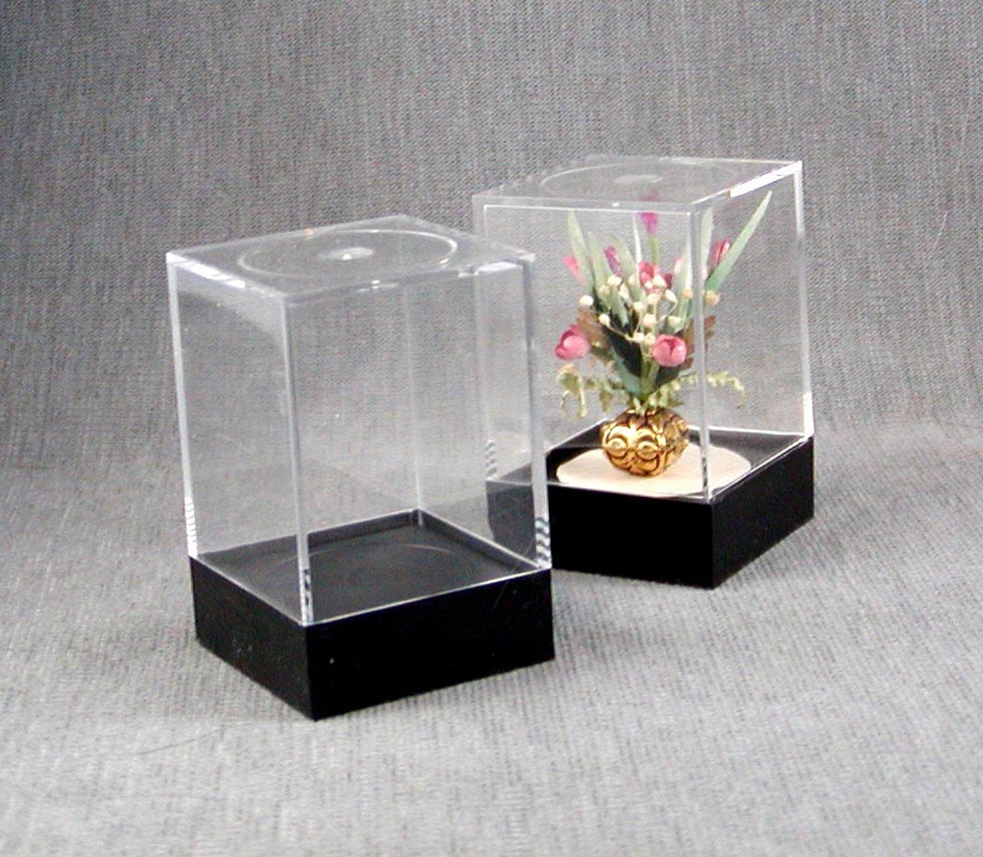 Acrylic Showcase Box for Display, 2 1/2" Tall X 1 5/8" Wide on Four ...