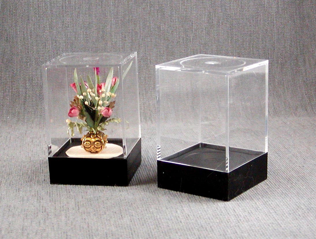 Acrylic Showcase Box for Display 2 1/2 Tall X 1 - Etsy