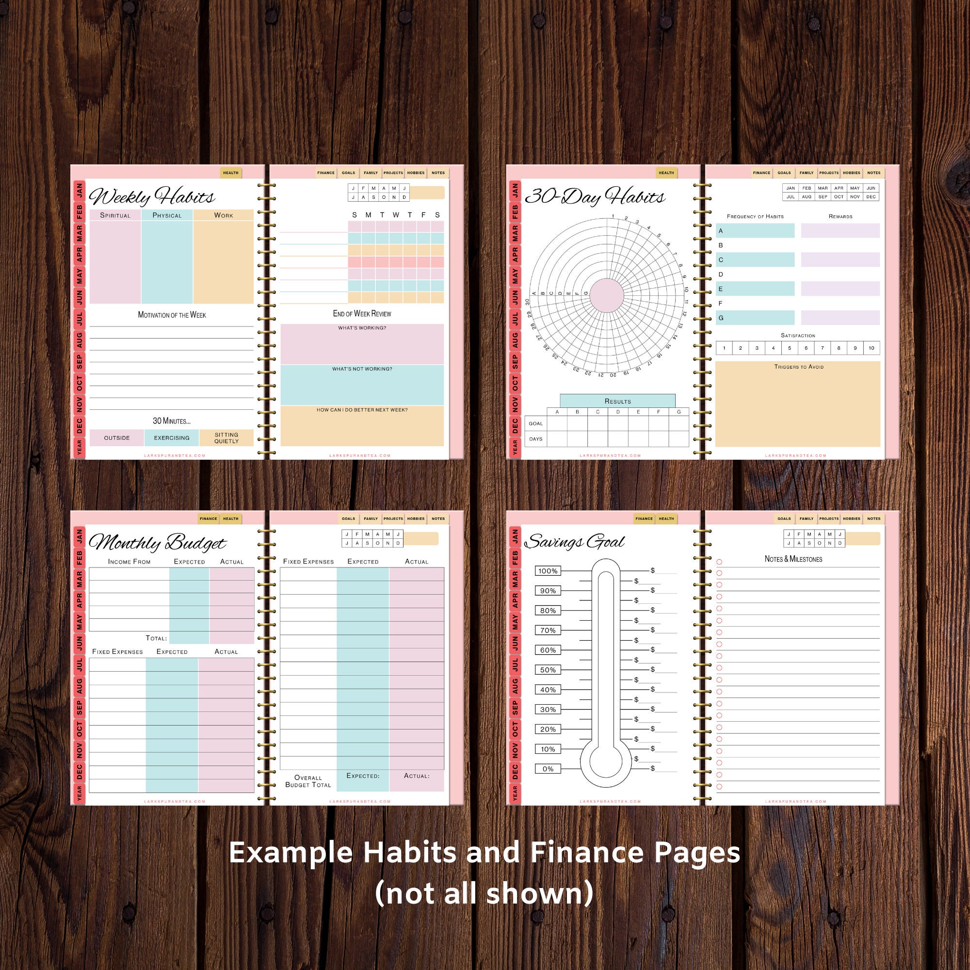 Pink Flamingo Landscape Digital Life Planner With Stickers, Undated ...