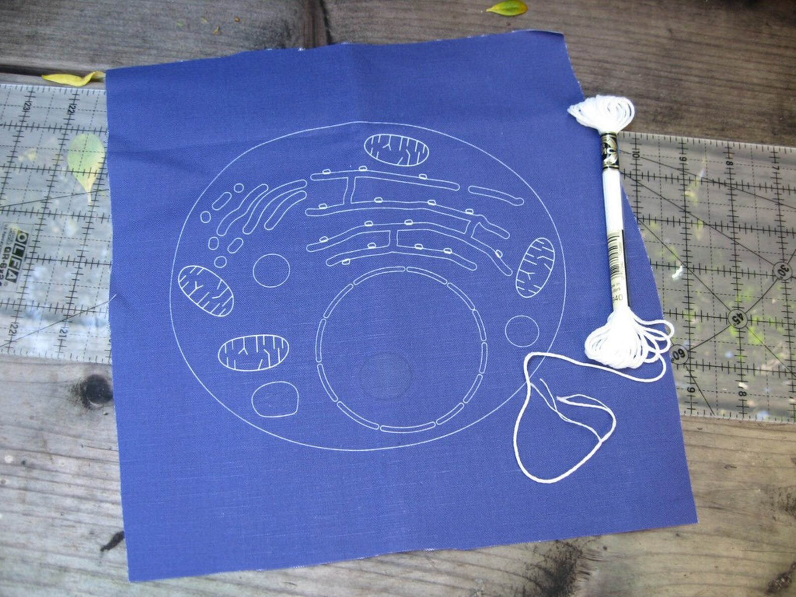 DIY Embroidery Kit Cell Biology Blueprint Glow in the Dark - Etsy