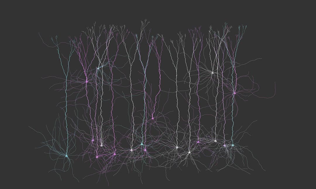 Pink Neurons Generative Art Print on Alluminum - Etsy