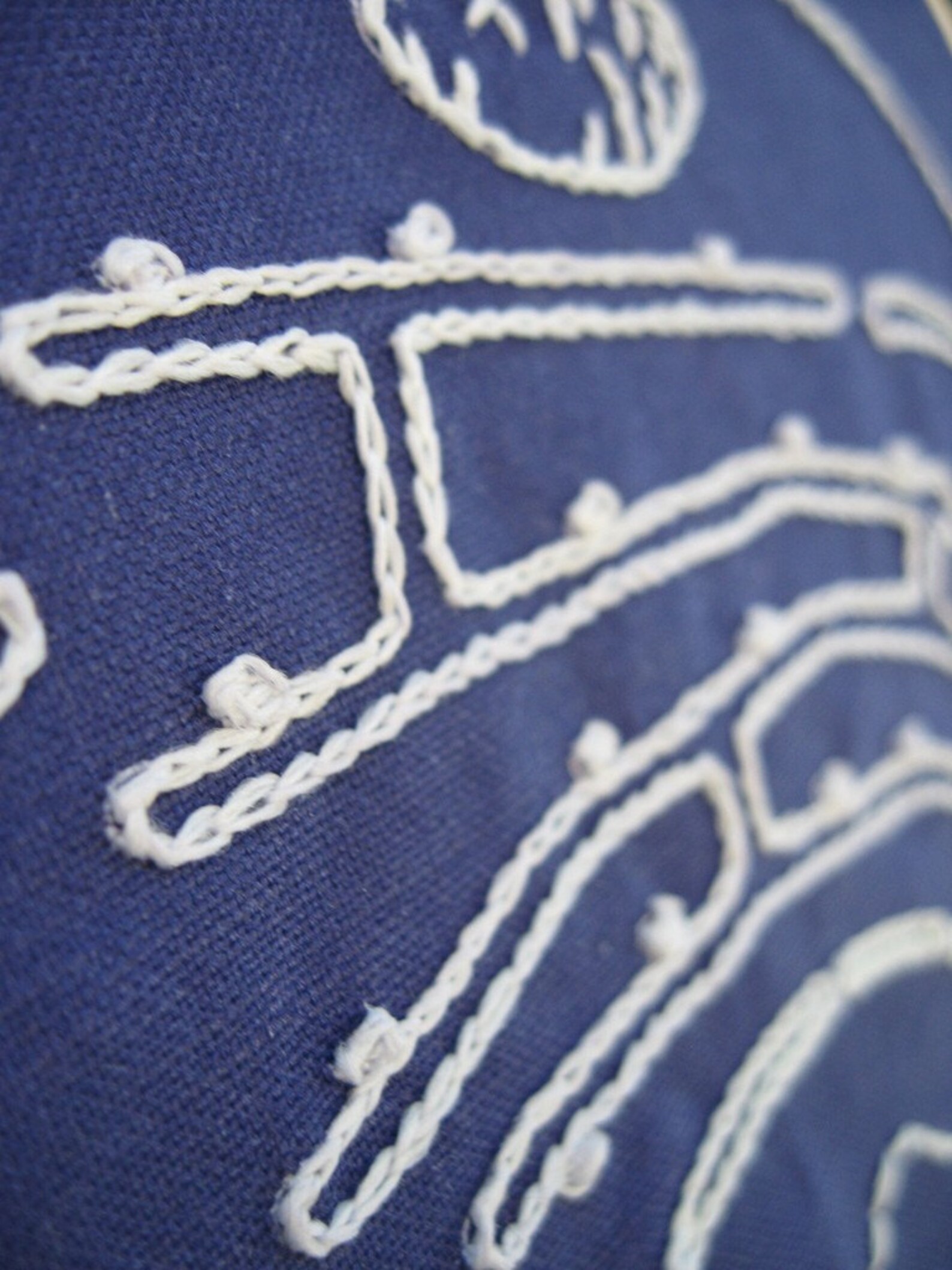 DIY Embroidery Kit Cell Biology Blueprint Glow in the Dark - Etsy