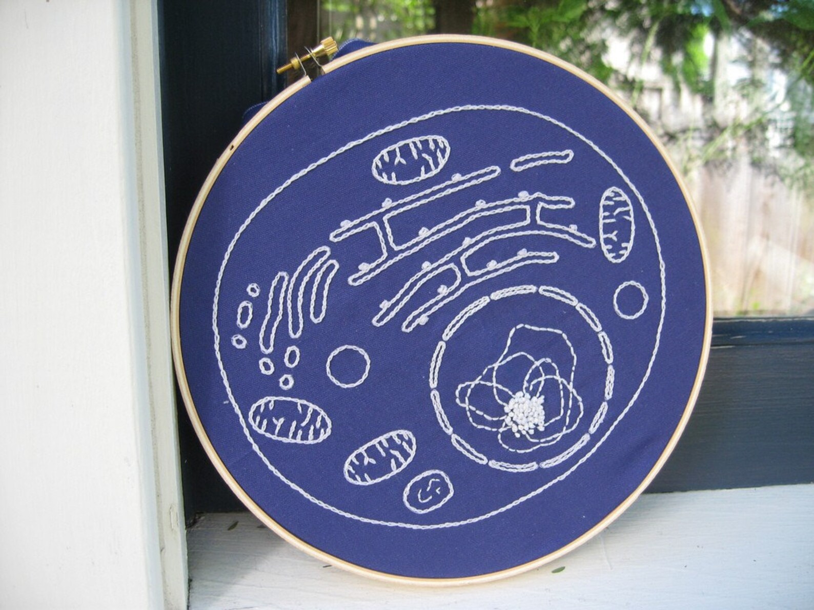 DIY Embroidery Kit, Cell Biology Blueprint, Glow in the Dark Thread ...