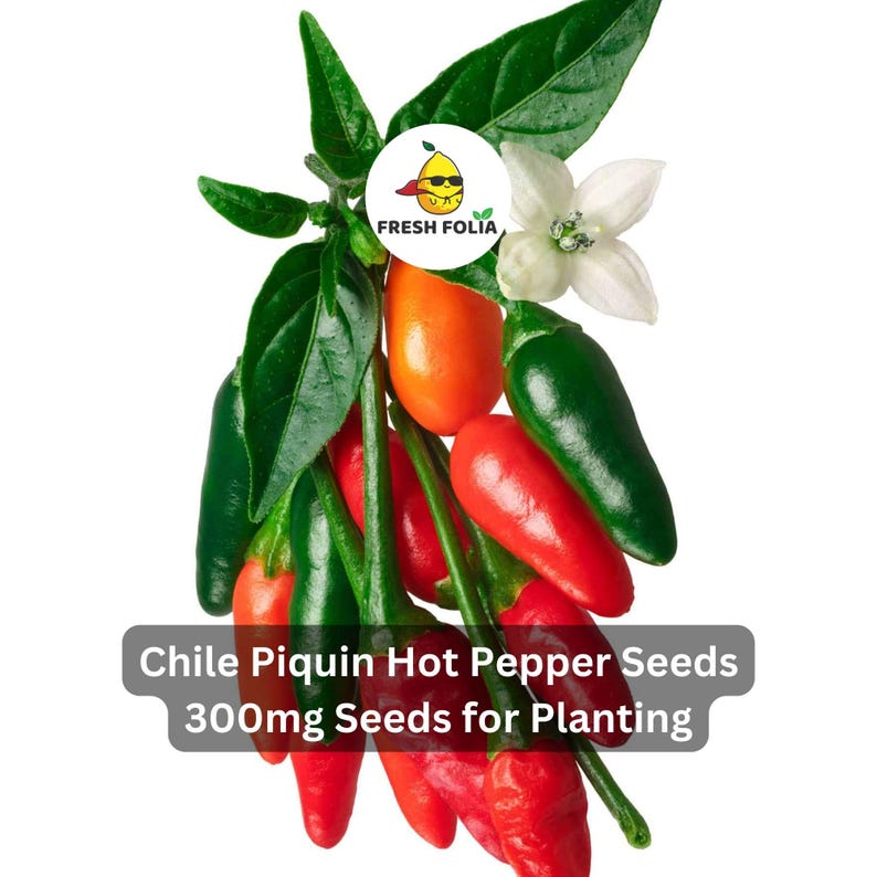 Chile Piquin Hot Pepper, 300mg Seeds for Planting, Small Chili, Spicy ...