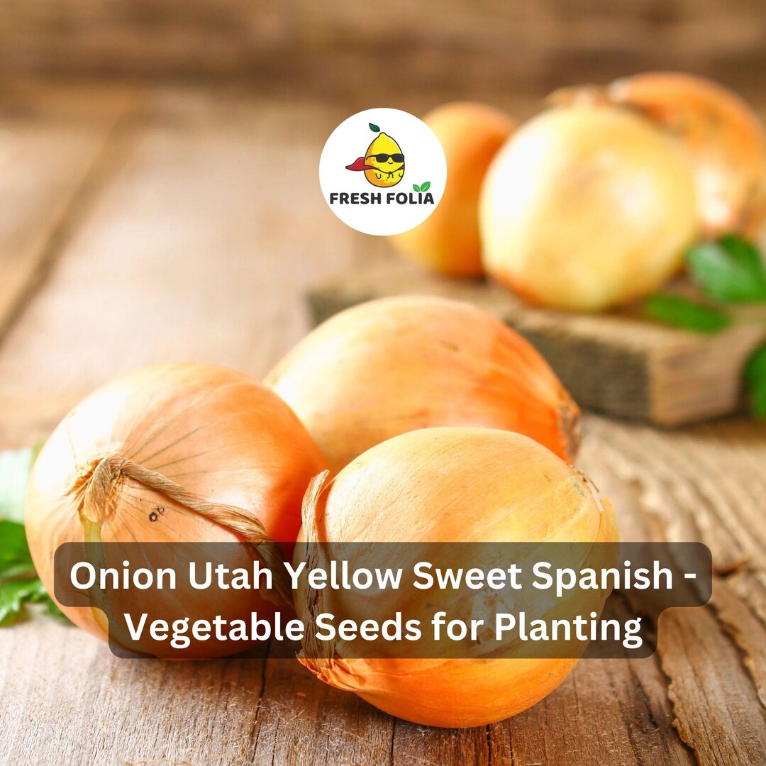 Utah Yellow Sweet Spanish Onion Seeds 250mg for Planting Large, Sweet ...