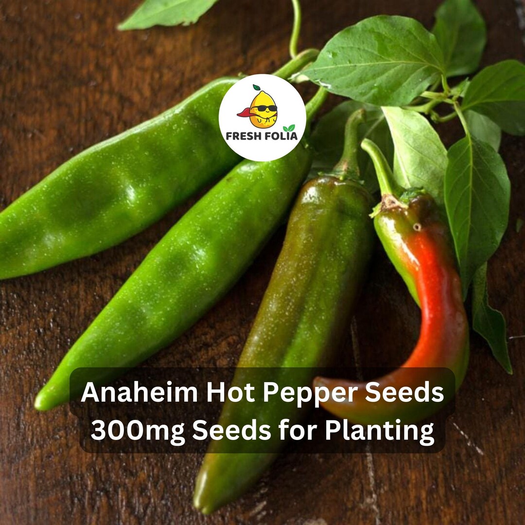 Anaheim Hot Pepper, 300mg Seeds for Planting, Mildly Spicy Peppers for ...
