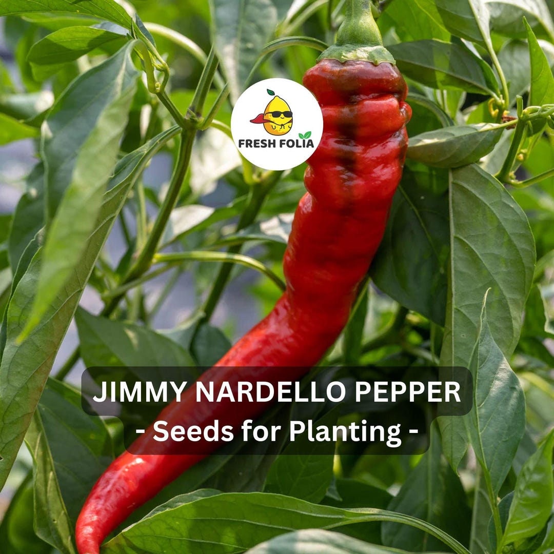 Jimmy Nardello Pepper Seeds 20 Seeds for Planting, Sweet, Heirloom, Non ...