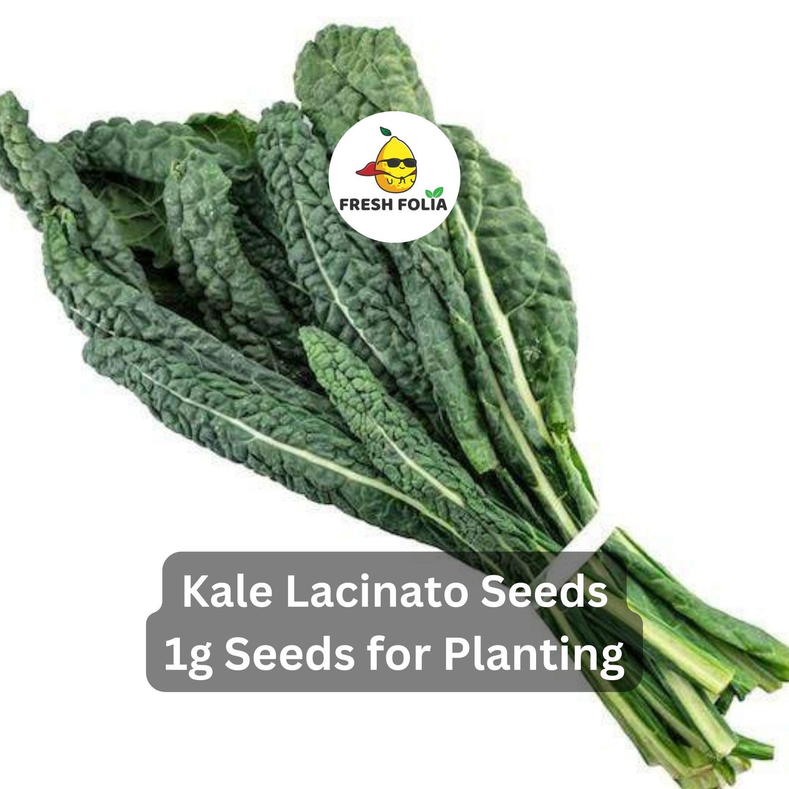 Kale Lacinato Seeds, 1g for Planting, Non-gmo, Heirloom Variety, Veggie ...