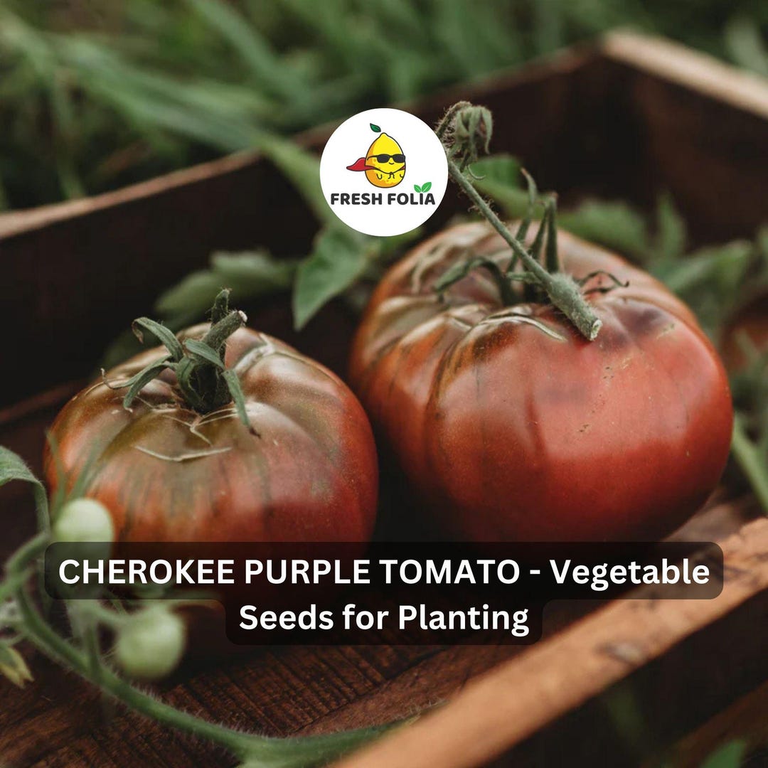 Cherokee Purple Tomato Seeds 30 Heirloom Seeds, Large & Flavorful ...