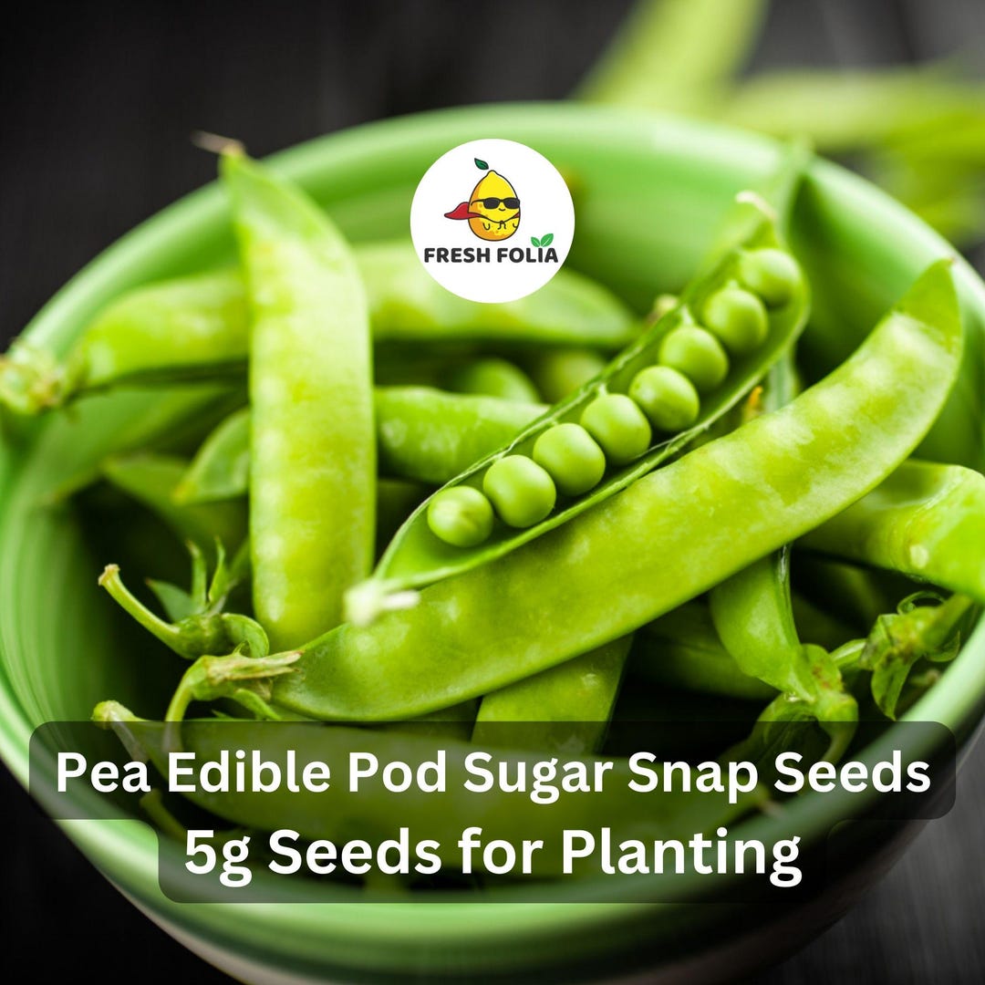 Pea Edible Pod Sugar Snap, 5g Seeds for Planting, Sweet and Crisp Pods ...
