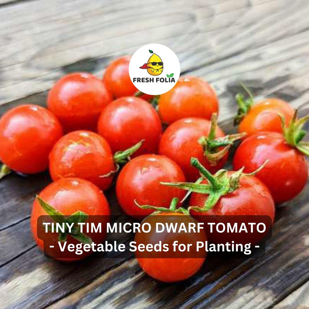 Tiny Tim Micro Dwarf Tomato 30 Seeds for Planting Heirloom, Non-gmo ...