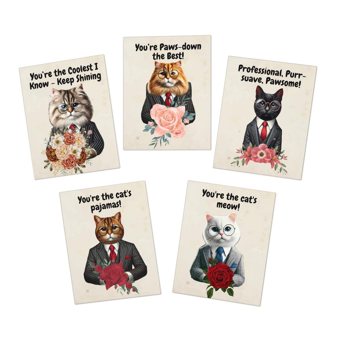 Funny Cat Greeting Cards 5-pack, Unique Office Gifts for Cat Lovers - Etsy