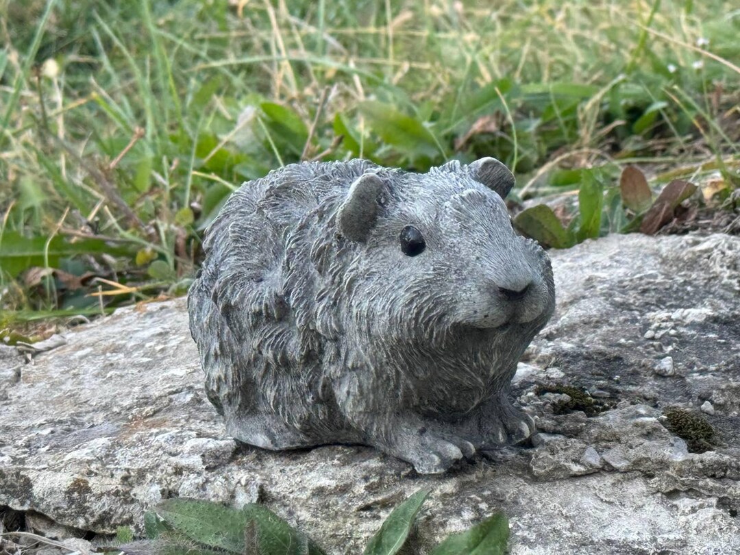 Guinea Pig Garden Statue 4 In, Concrete Home Animal Memorial Figure ...