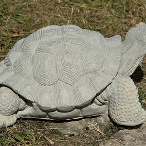 Turtle Garden Statue 9 In, Outdoor Animals Sculpture, Yard Tortoise ...