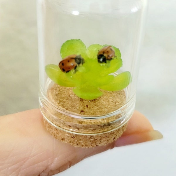 Insect Taxidermy - Etsy