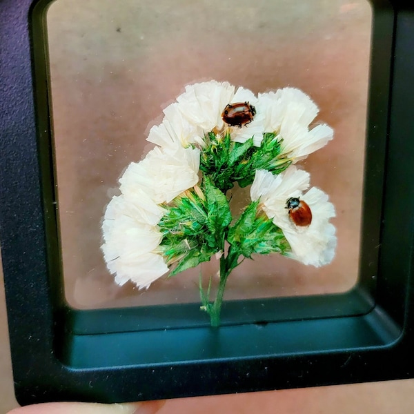 Flowers and Ladybugs - Etsy