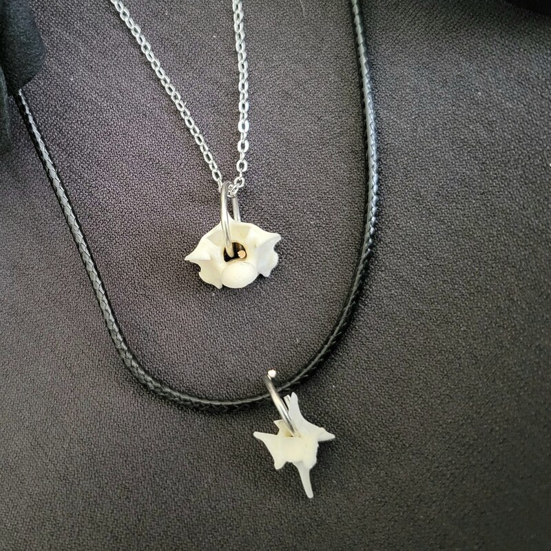 Animal Bone Jewelry - Etsy