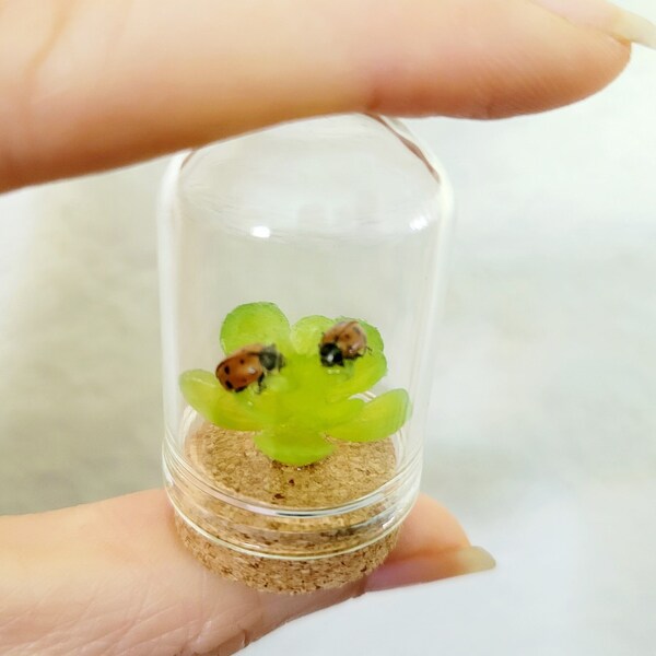 Insect Taxidermy Terrarium - Etsy