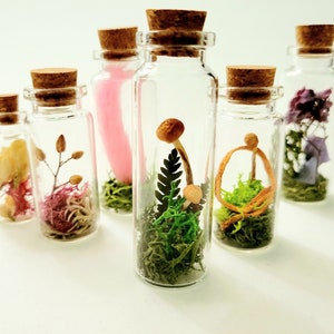 3pc Botanical Jars Set, Mini Dried Plant Jars, Cottage Decor, Floral ...
