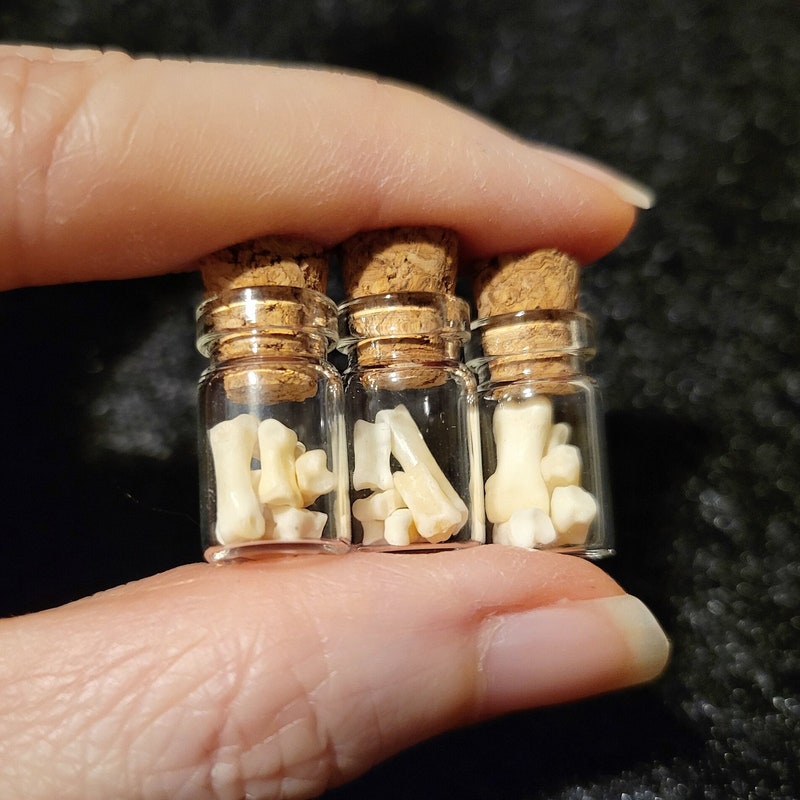 shaireproductions - Etsy