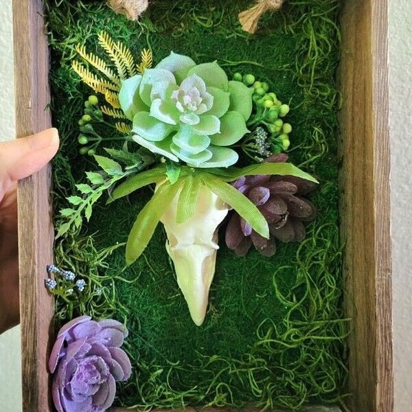 Faux Succulent Art - Etsy