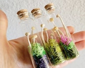 Mukonjo Root Powder - Etsy