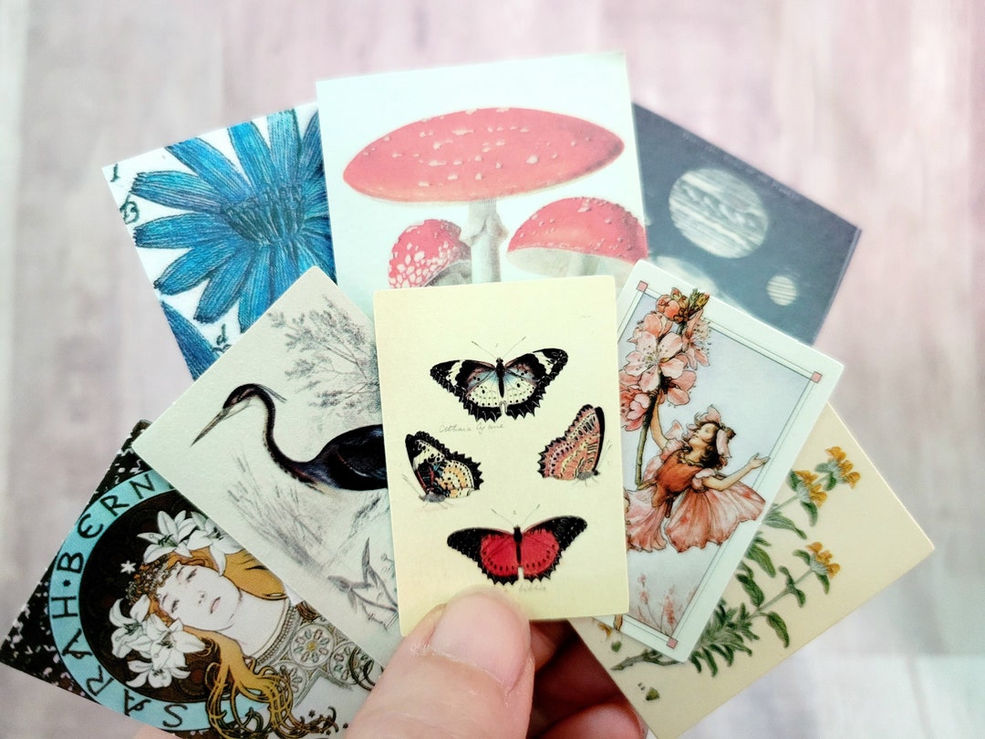 Mini Cottagecore Cards Junk Journal Vintage Set, Fairy Nature Art ...