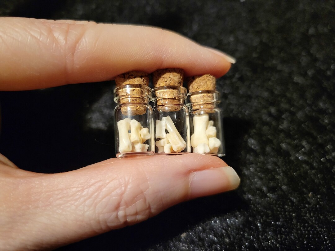 Mini Bone Jar, Small Bone Oddity, Witch Spell Jar, Vulture Culture ...